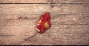 Blood in Bird Poop: Symptoms, Causes, Diagnosis, and Treatment - The ...