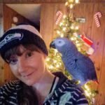 The Worlds Rarest Birds - The Worlds Rarest Birds